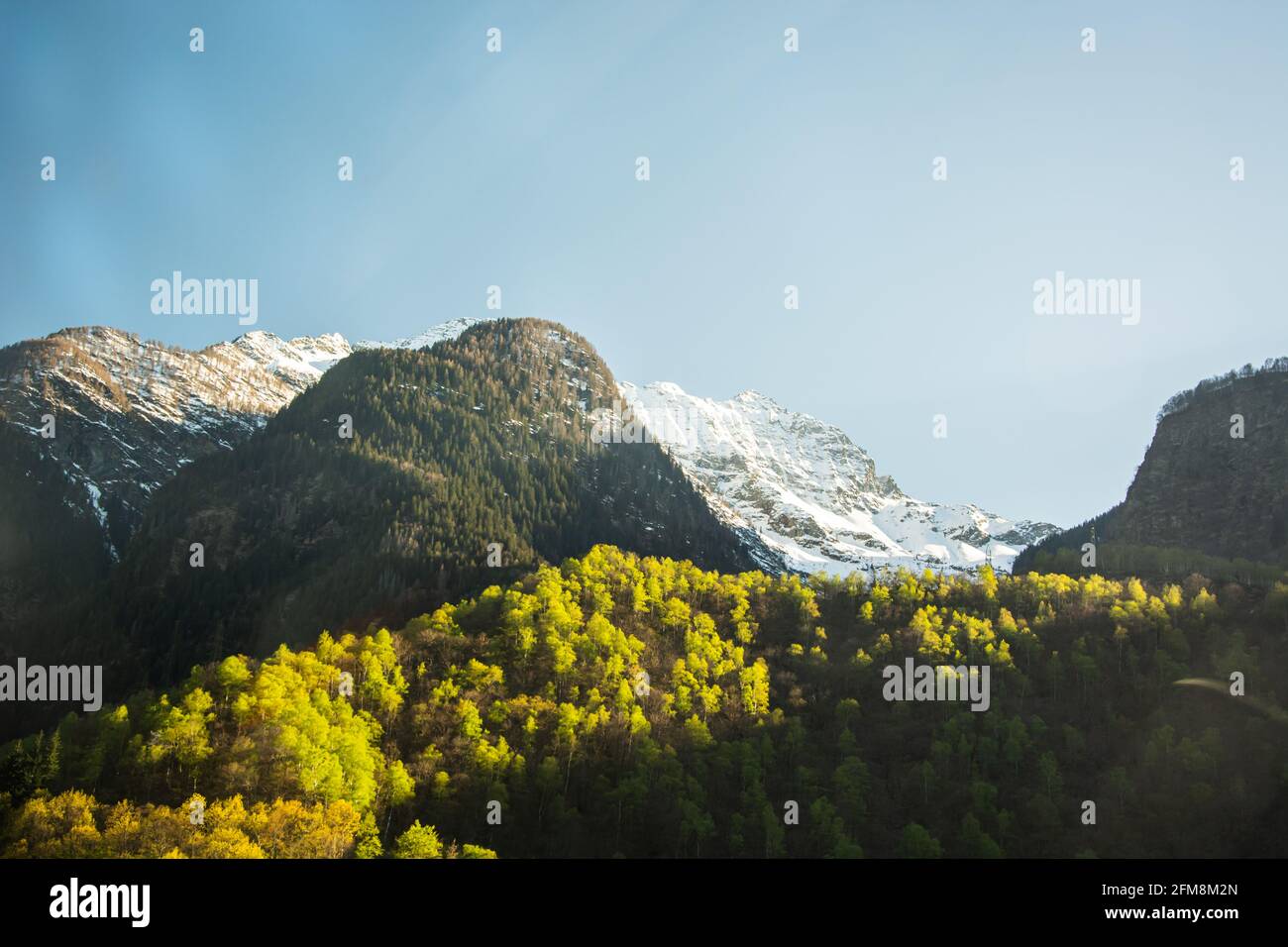 Near the Swiss Alps at a nice sunny day Stock Photo - Alamy