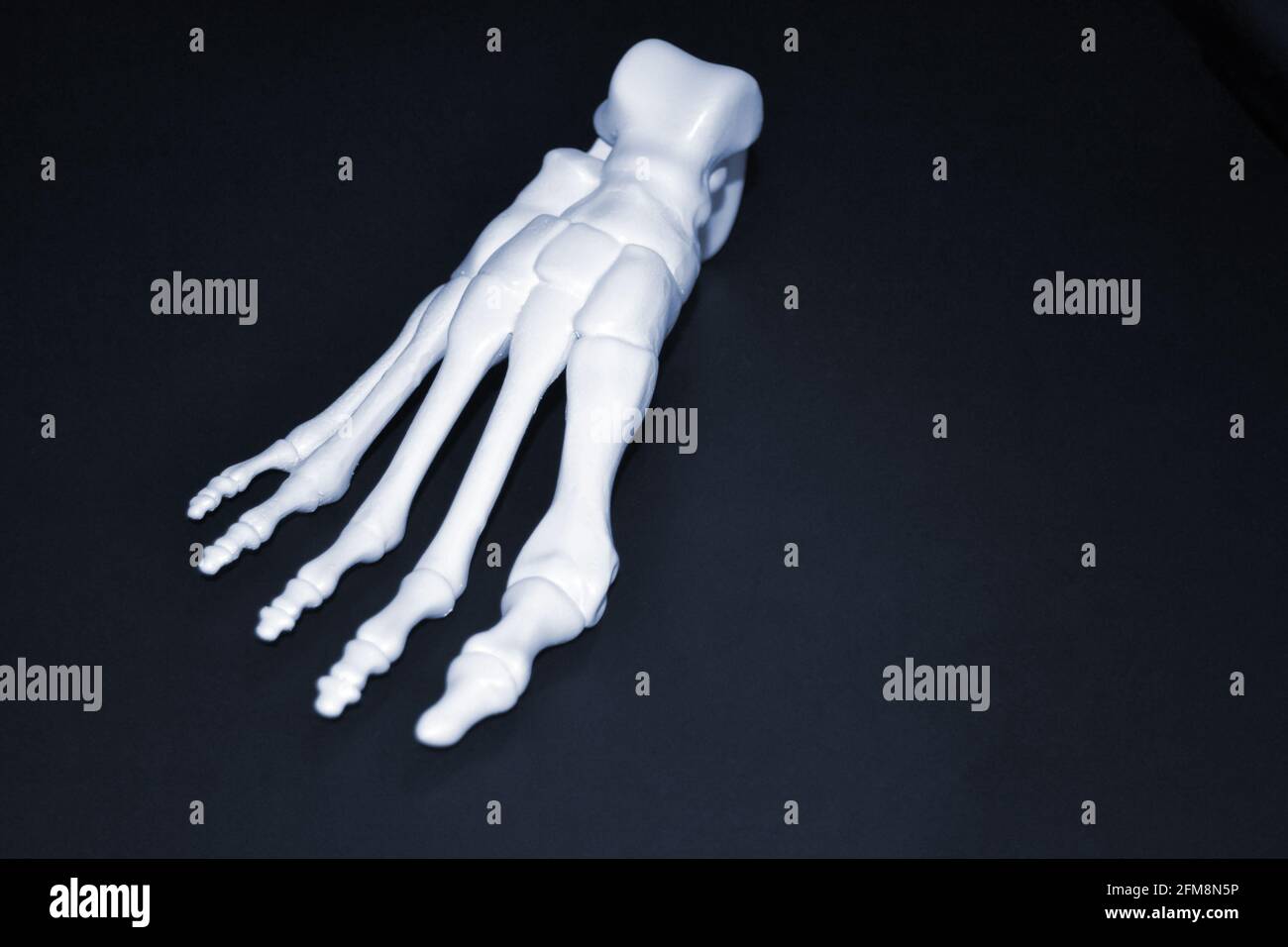 White prototype of the human foot skeleton printed on 3d printer on ...