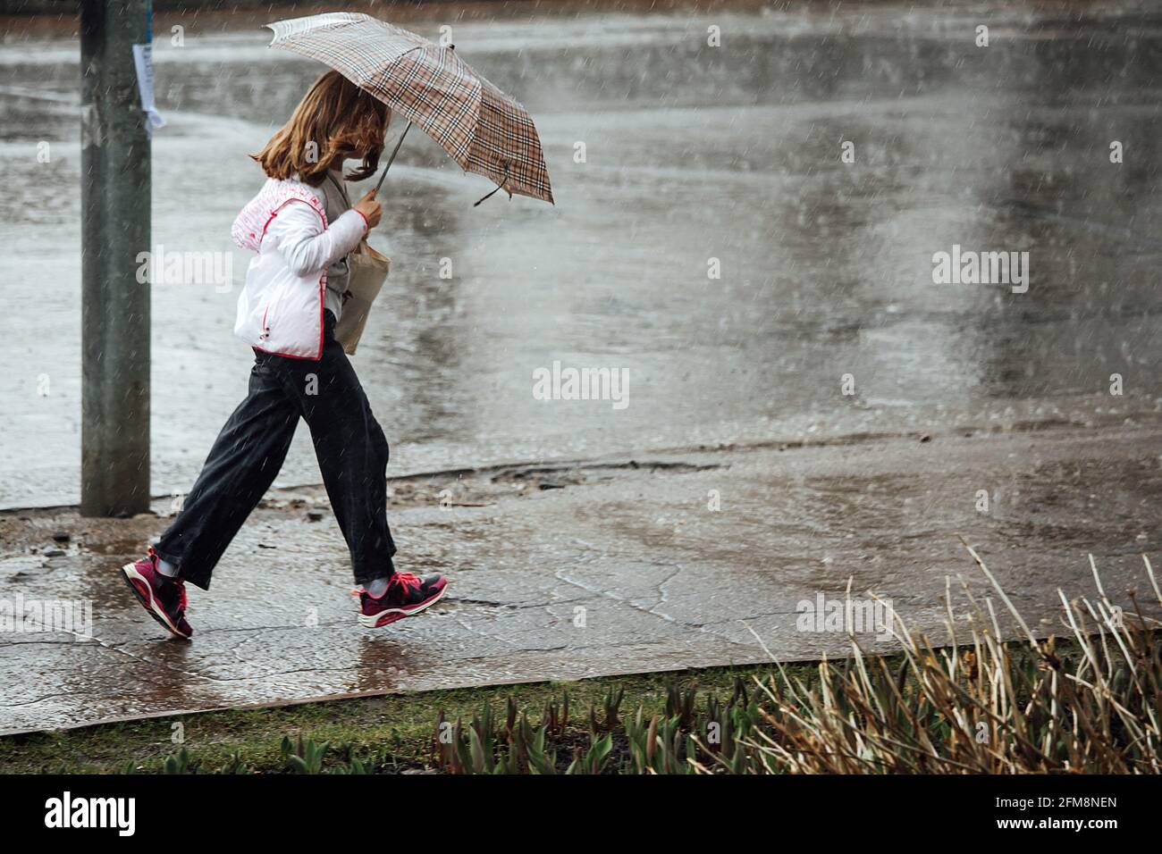 a girl with an umbrella runs through puddles in the rain. wet feet and ...