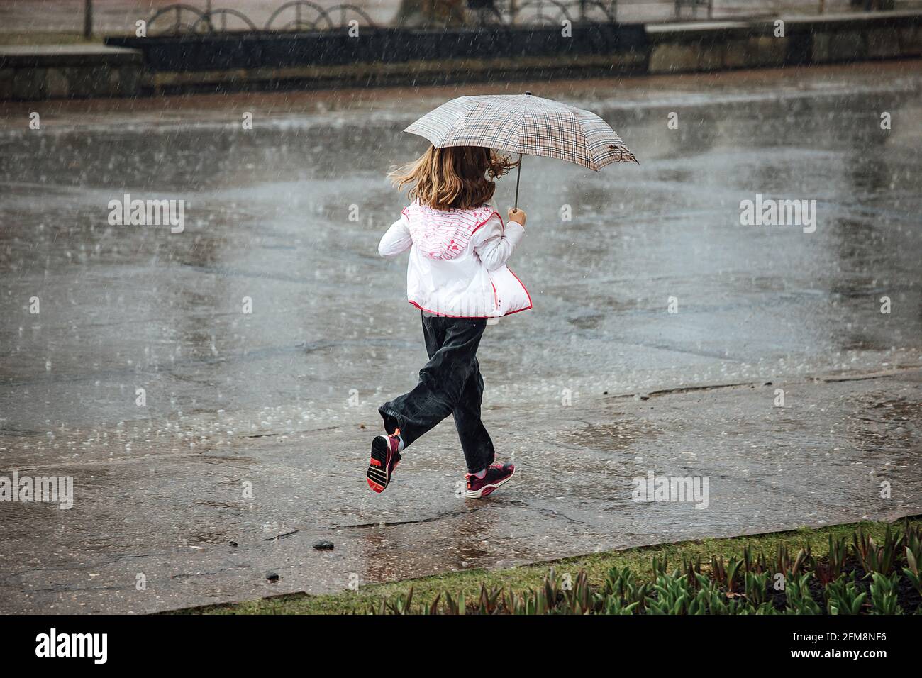a girl with an umbrella runs through puddles in the rain. wet feet and ...