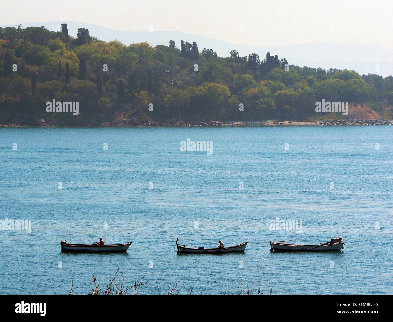 Tree fishing boats hi-res stock photography and images - Alamy