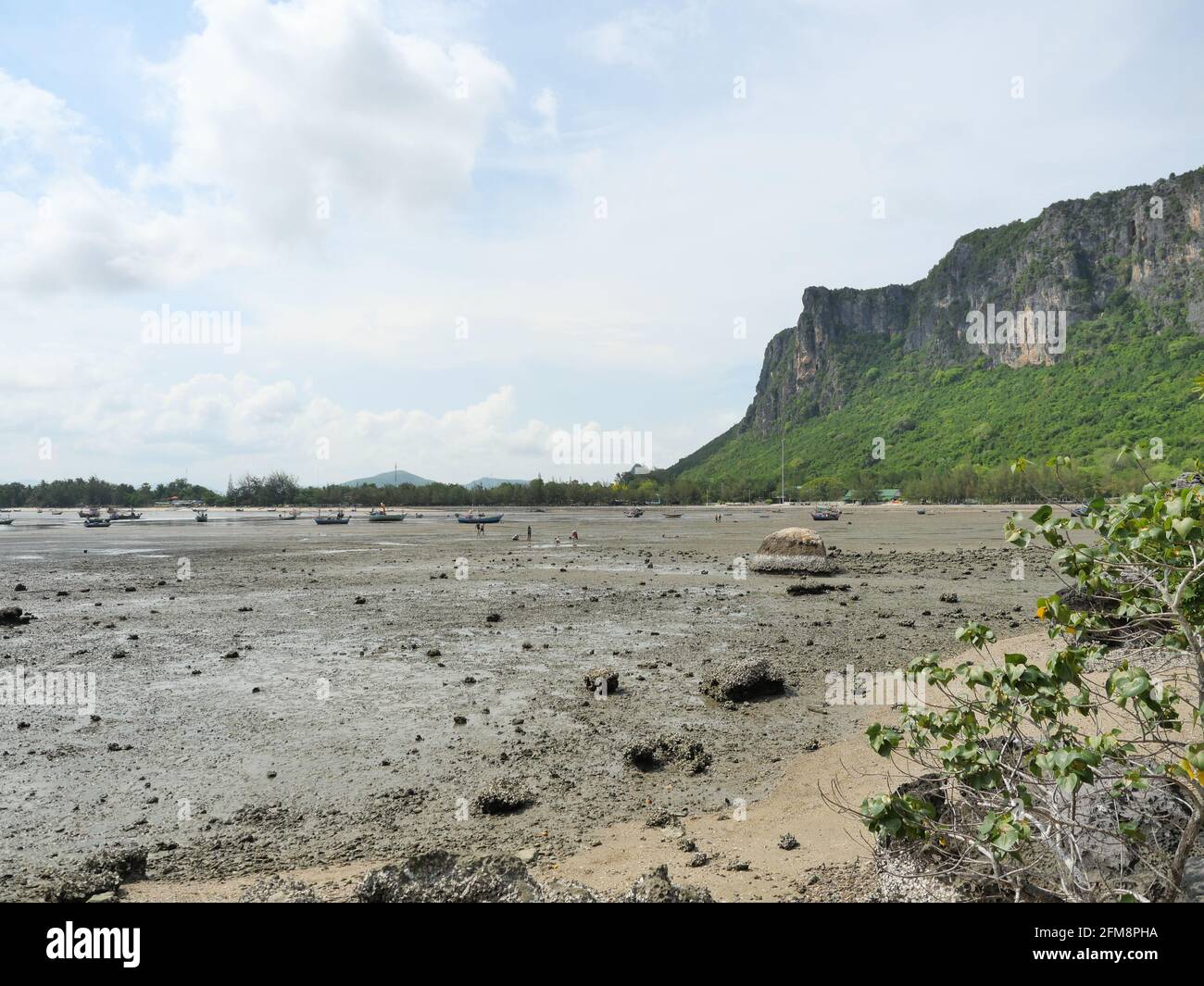 Rocky reefs with sand and mud in water phenomenon at low tide, Green ...