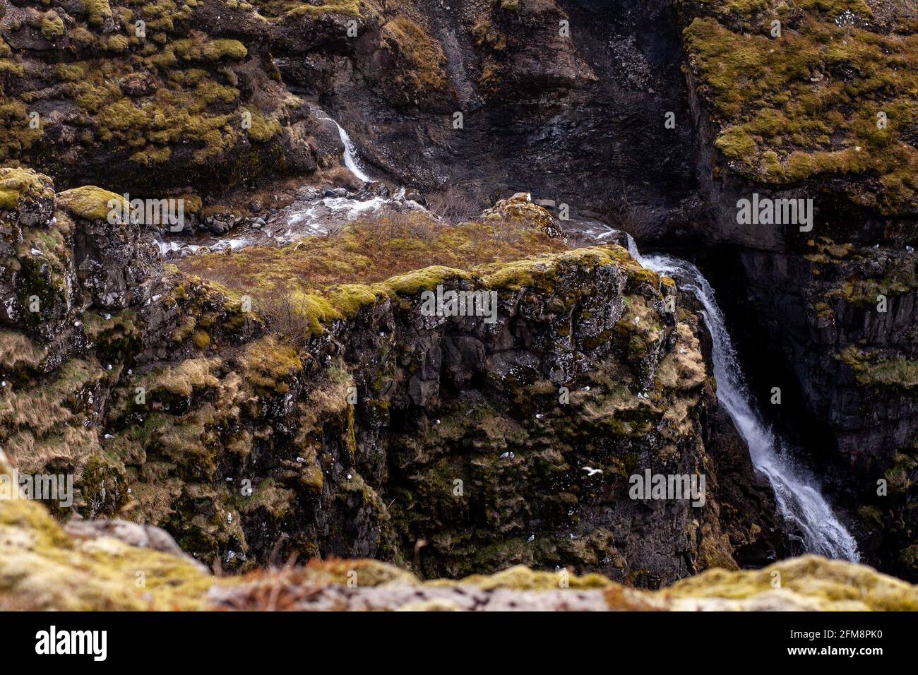 Eaton forest hi-res stock photography and images - Alamy