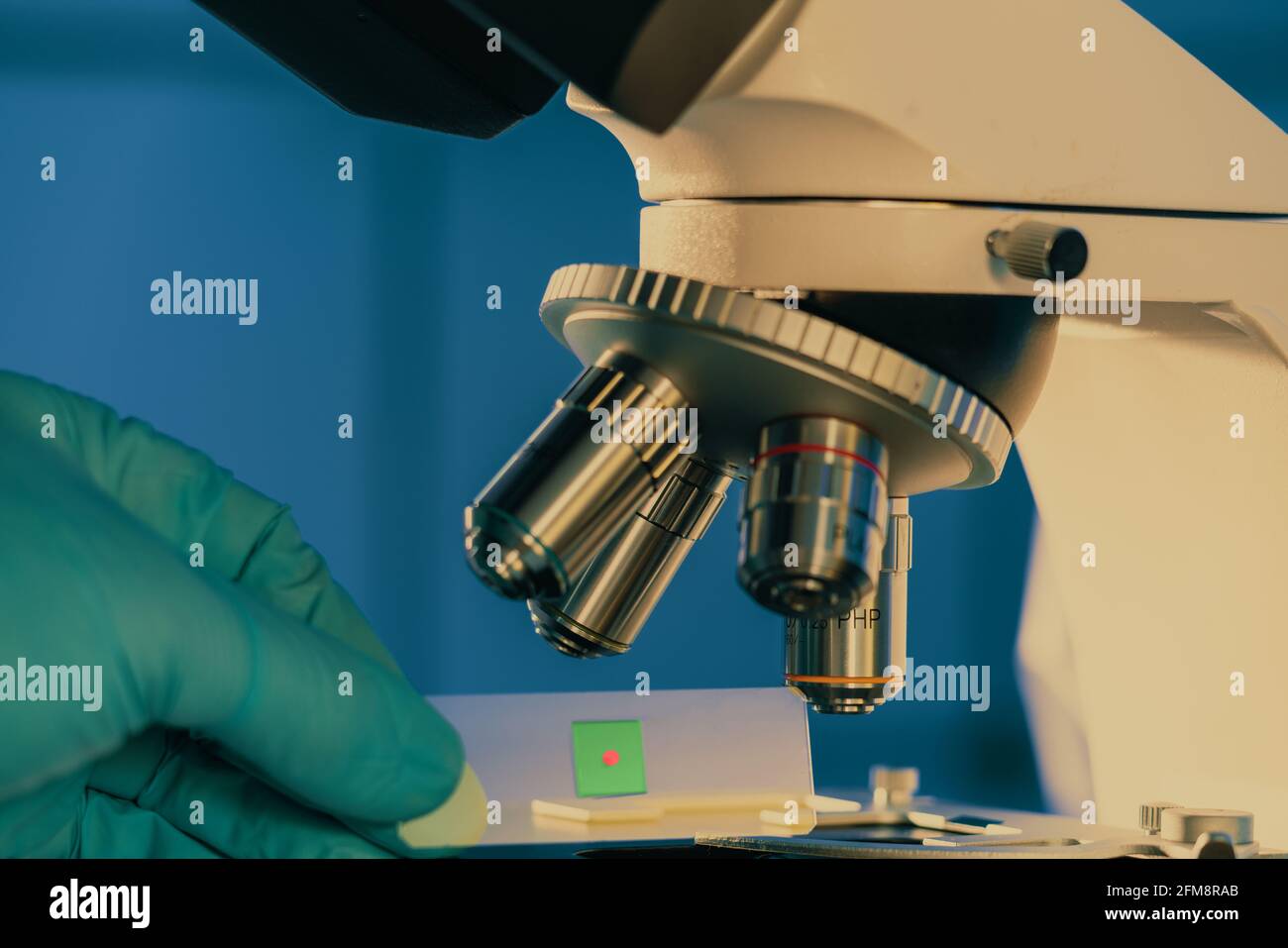 Biopsy slide hi-res stock photography and images - Alamy