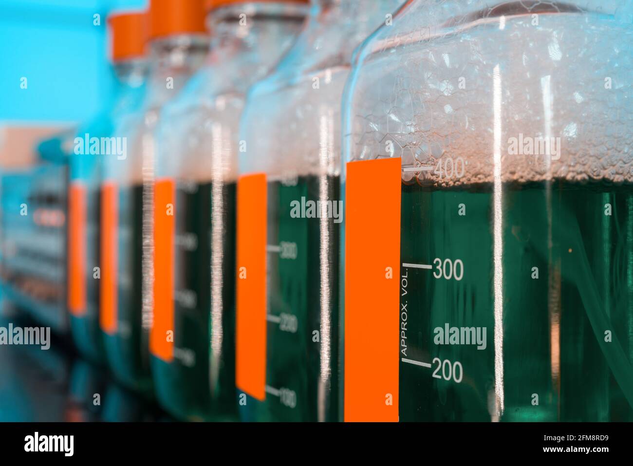 Experiments with obtaining electricity and bacteria processing ...