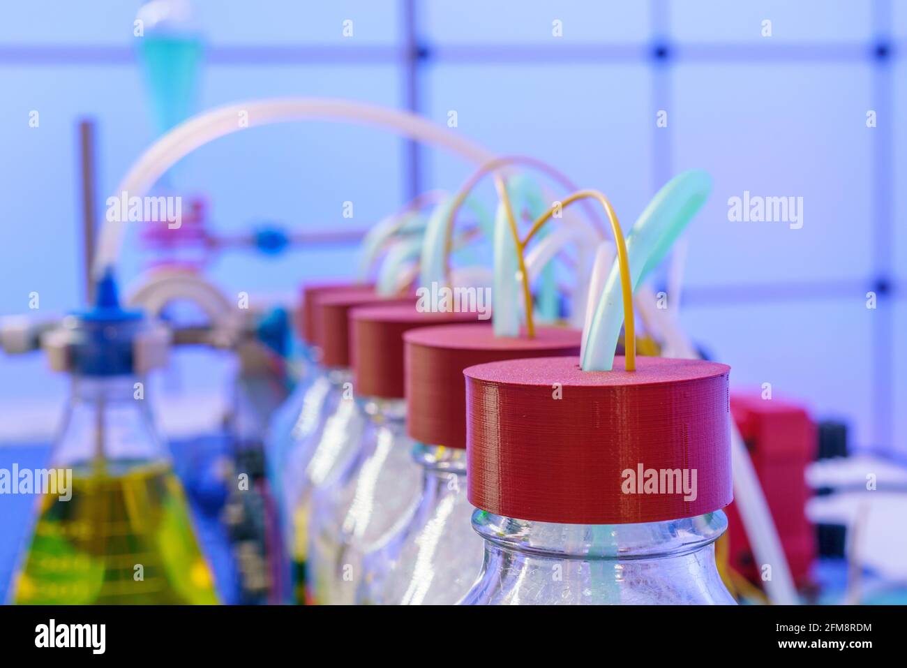 Experiments with obtaining electricity and bacteria processing ...