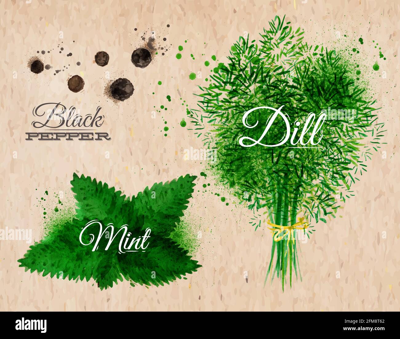 Herbs spices seasoning on Stock Vector Images - Alamy