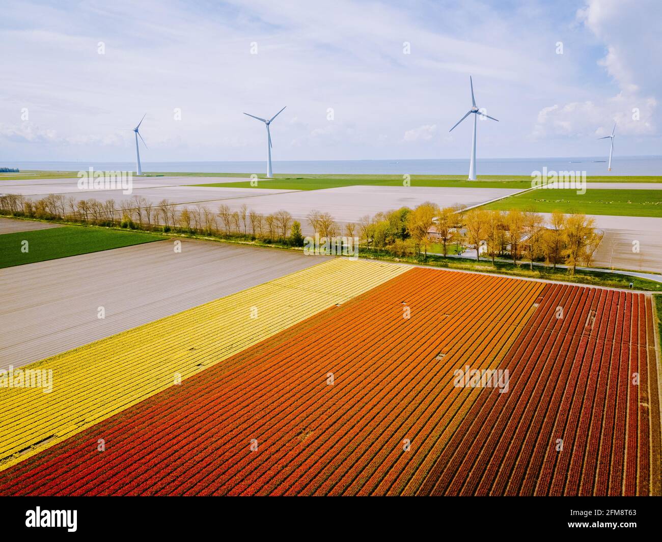 Offshore Windmill farm in the ocean Westermeerwind park, windmills ...