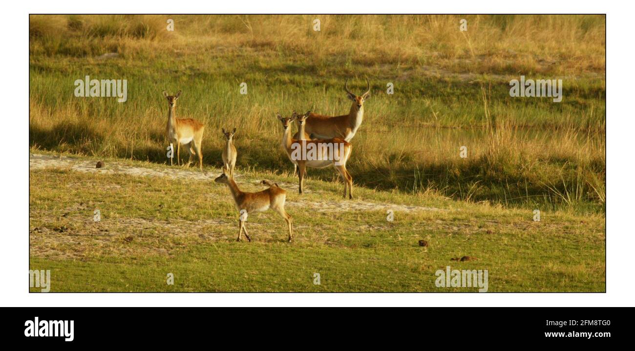 Independent Christmas Appeal......Integrated Rural Development and ...