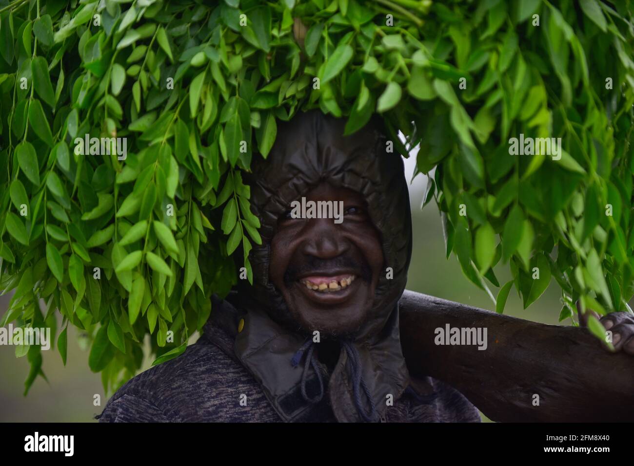 Addis Ababa, Ethiopia. 26th Apr, 2021. A farmer carries moringa ...