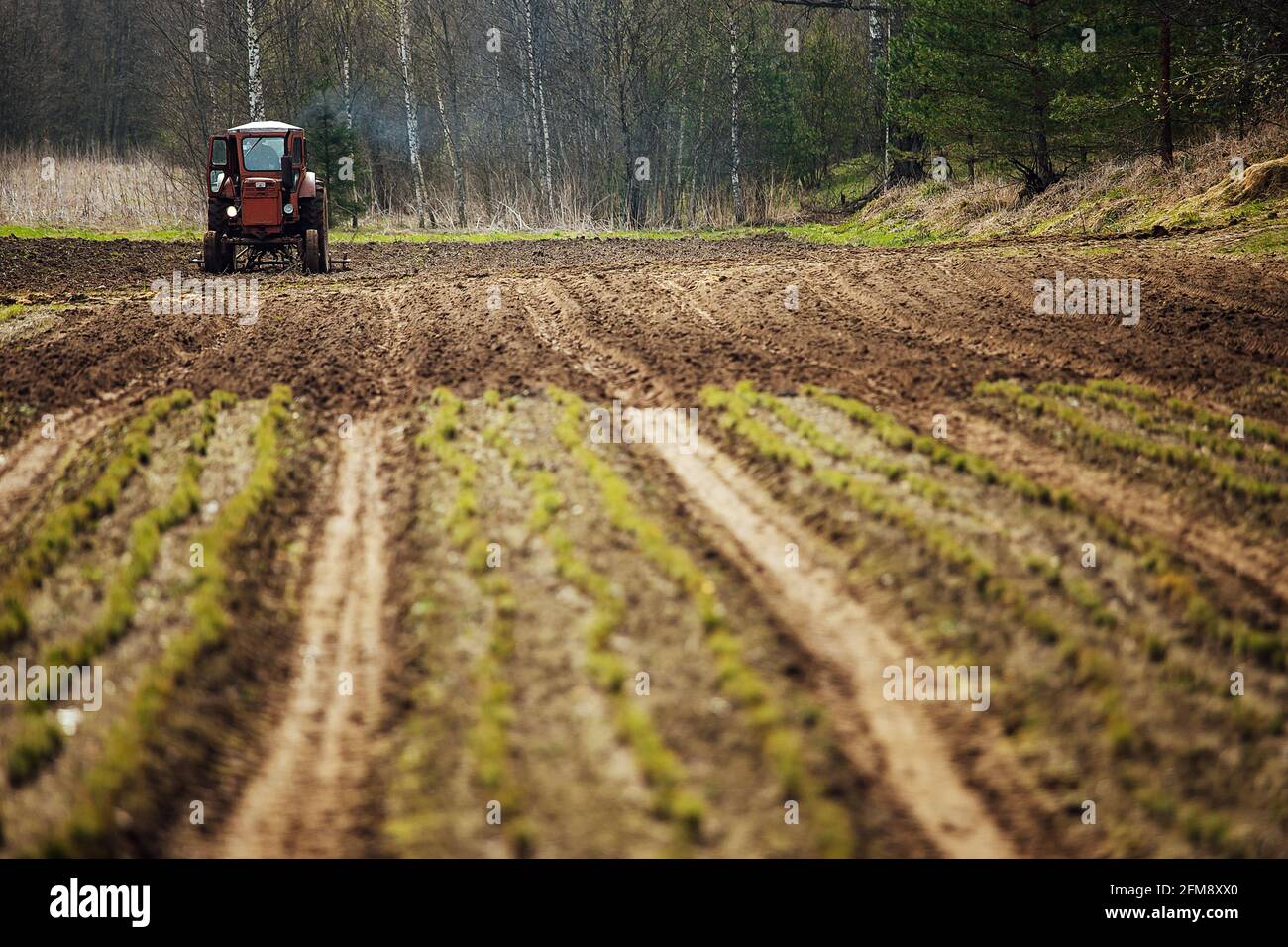 a tractor plows a field. preparation of agricultural land for planting ...