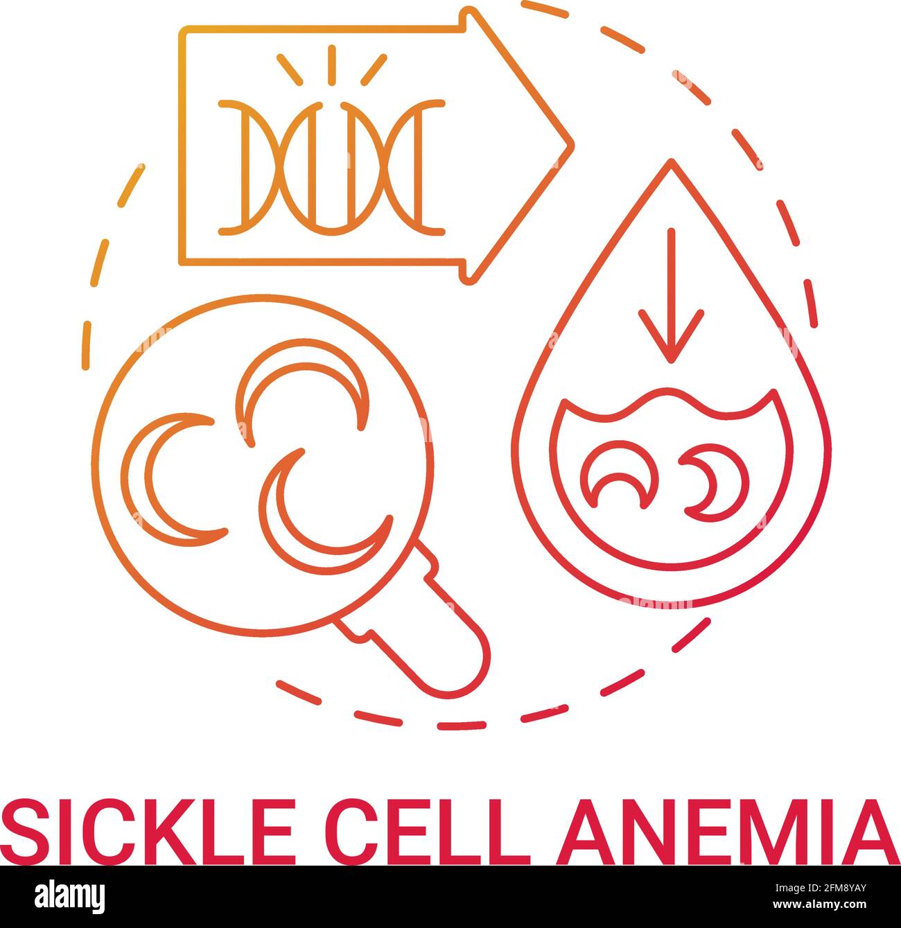 Sickle cell anemia red gradient concept icon Stock Vector Image & Art ...