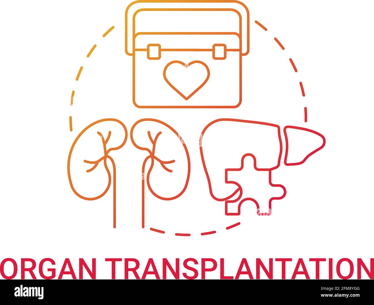 Human body organ conceptual Stock Vector Images - Alamy