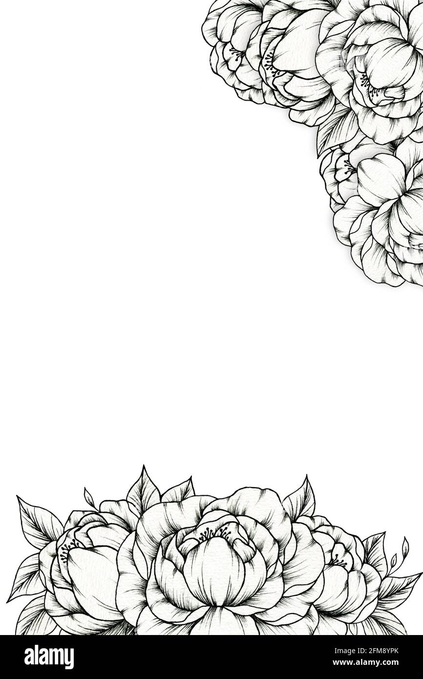 Vintage peony flowers card, botanica card illustration with hand drawn ...