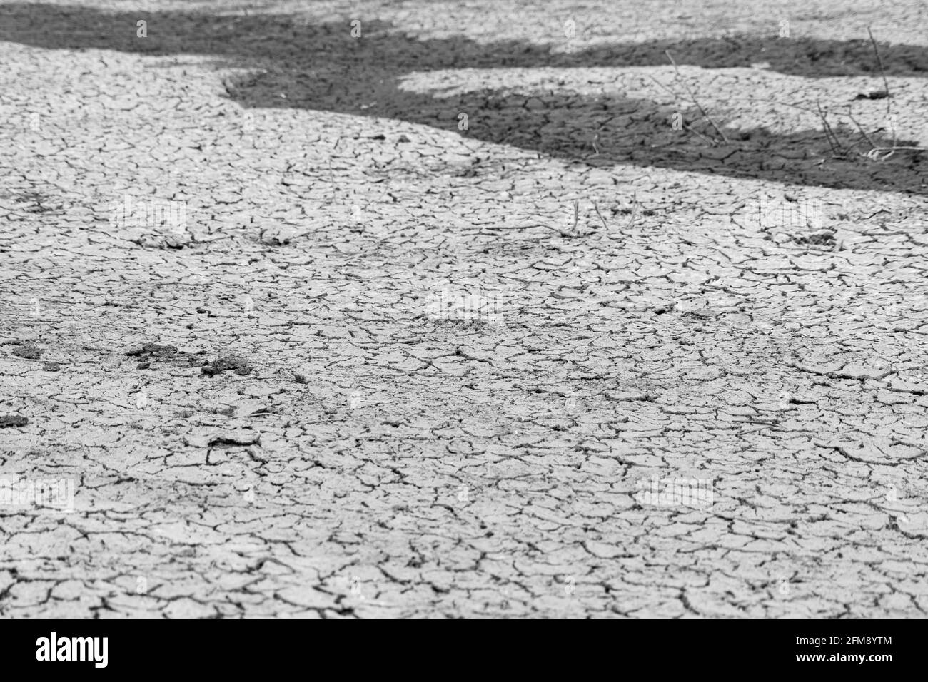 Mudflat cracked desert barren surface for natural background, layer ...