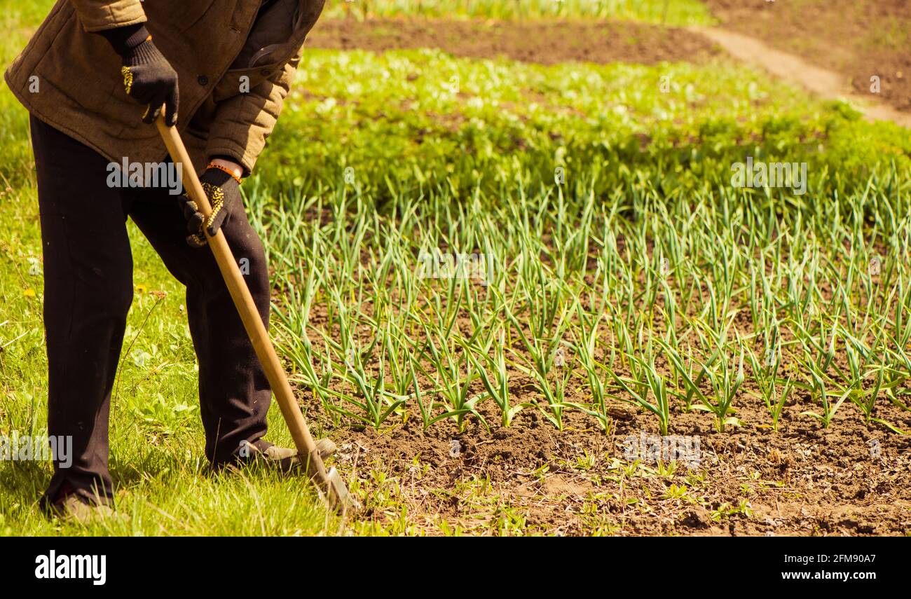 Farmer digging hi-res stock photography and images - Alamy