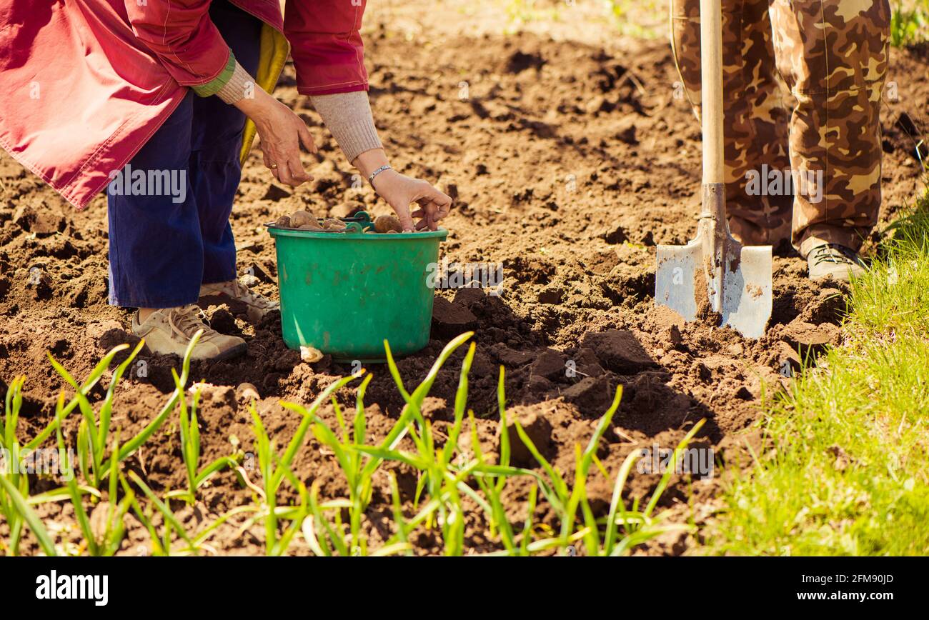 Soil cultivate hi-res stock photography and images - Alamy
