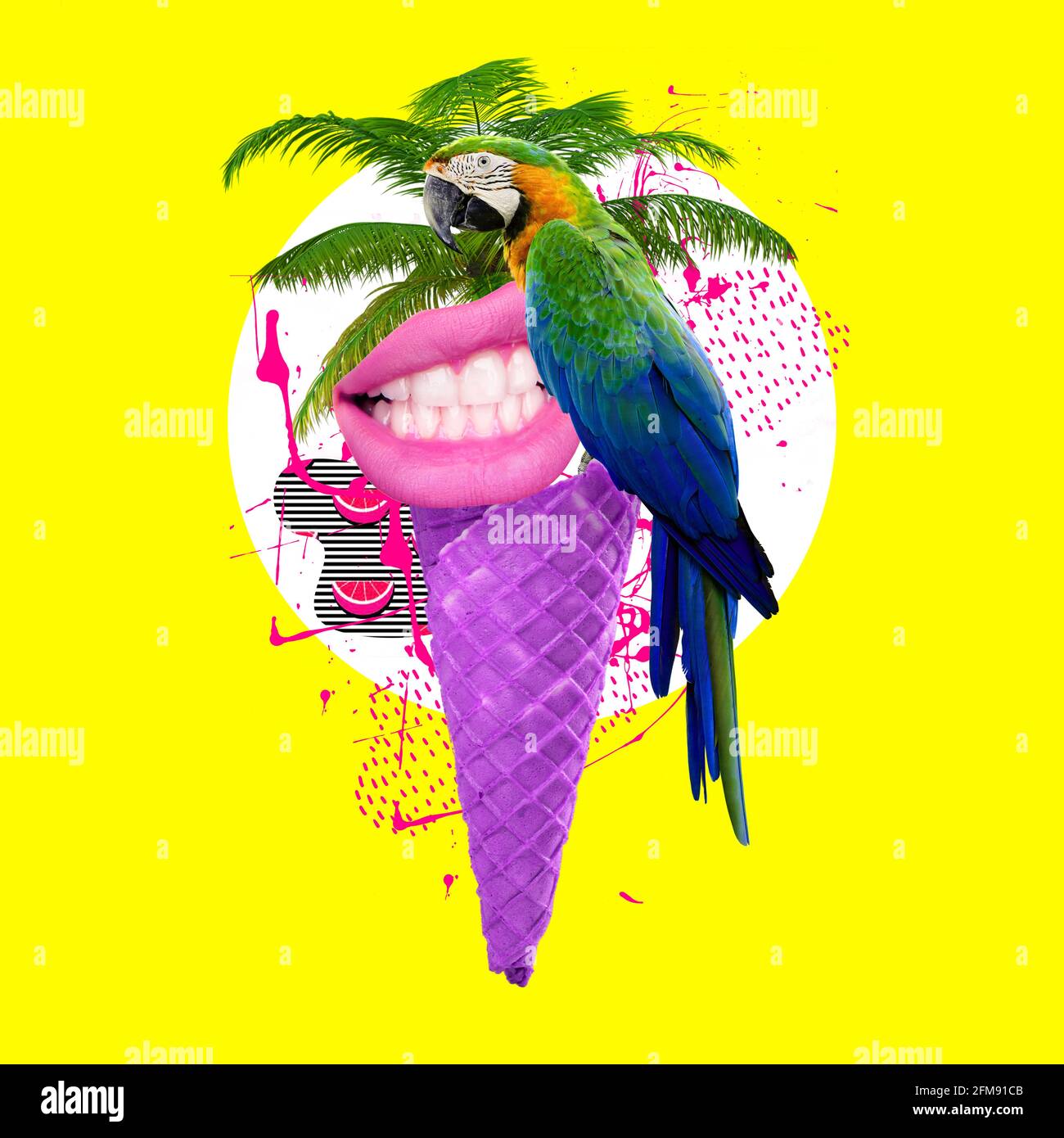 Collage parrot hi-res stock photography and images - Alamy