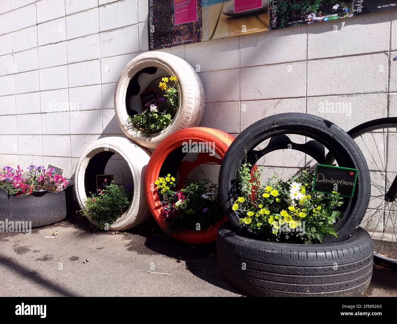 Flowers planted in tires Stock Photo - Alamy