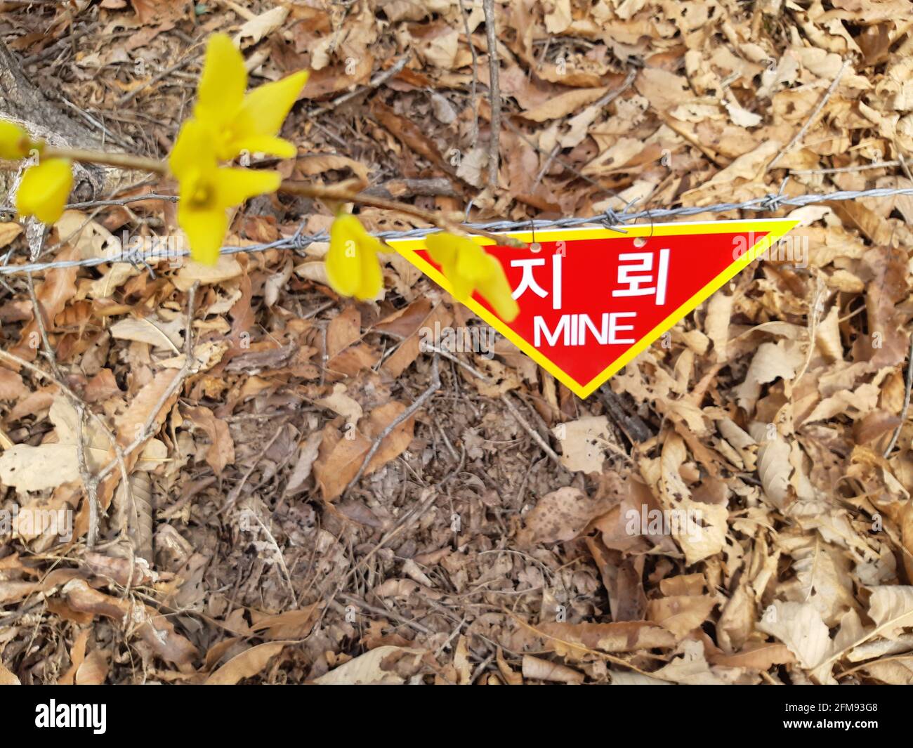 Mine warning sign Cheorwon-gun, Gangwon-do, South Korea Stock Photo - Alamy