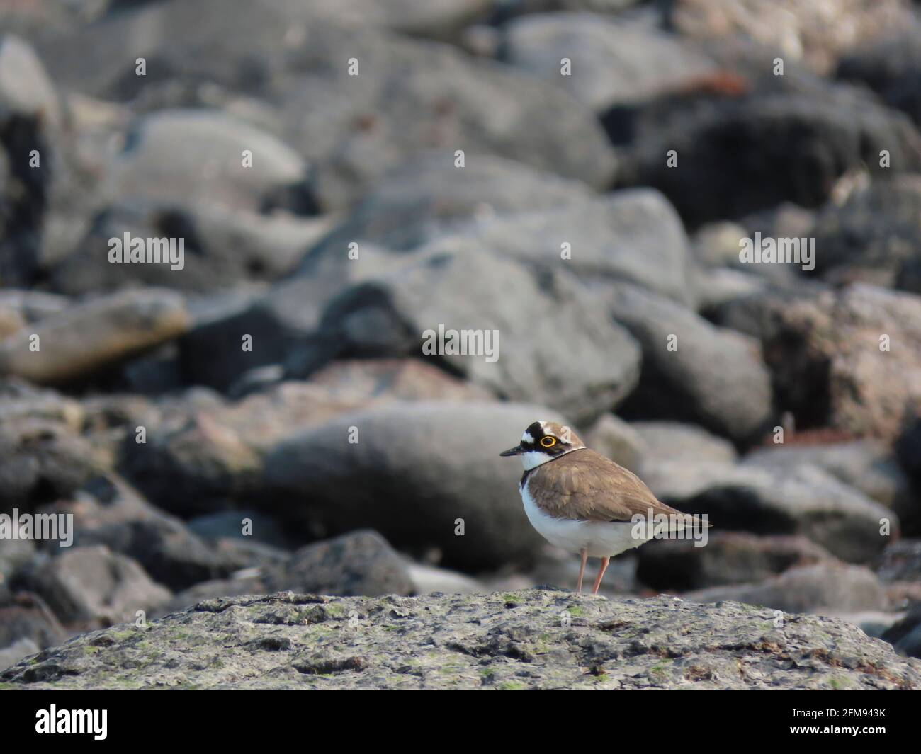 Funny drawing on stone hi-res stock photography and images - Alamy
