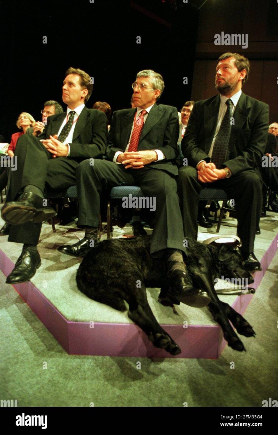 Home secretary david blunkett with his guide dog lucy hi-res stock ...