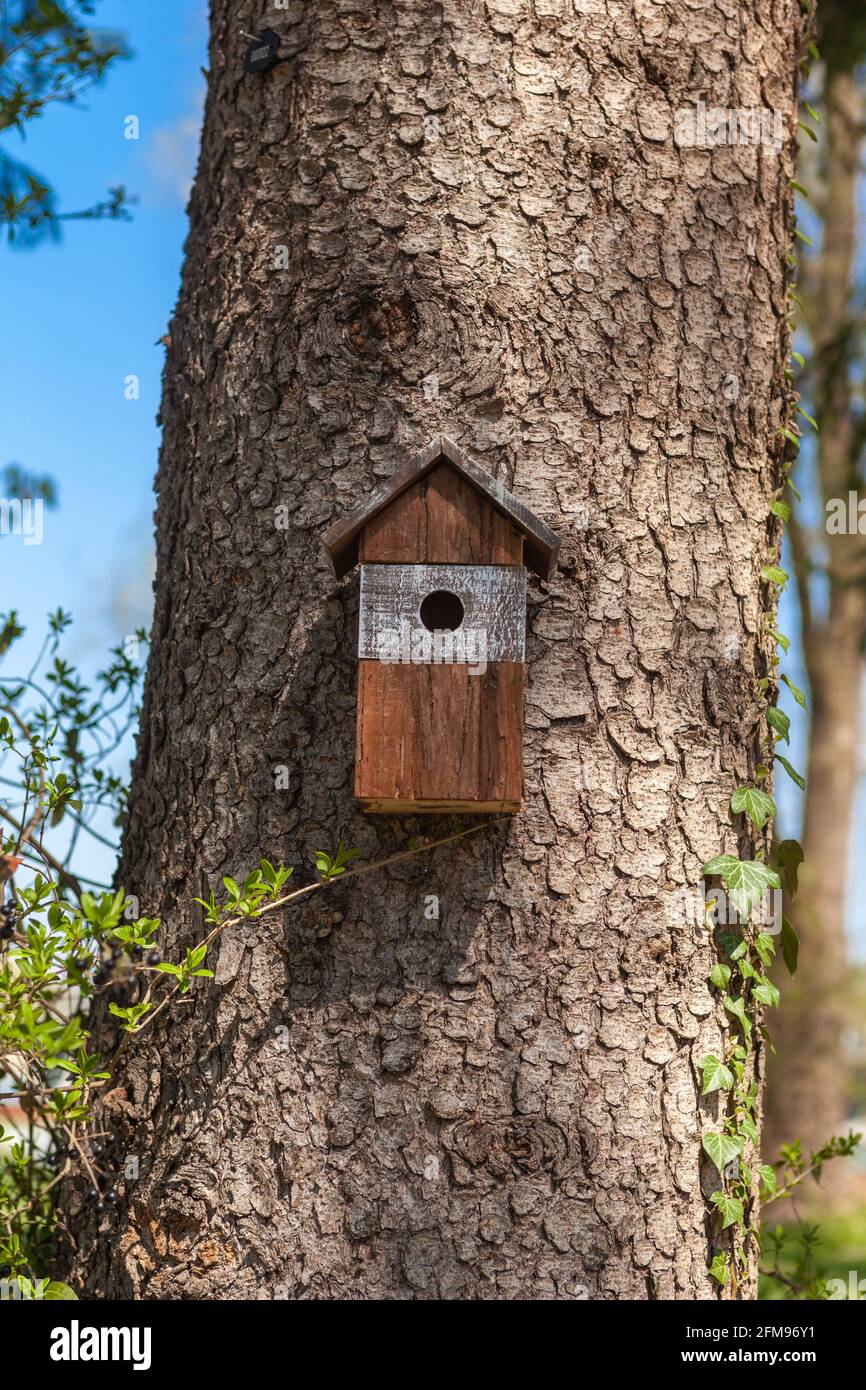 Nistkasten im wald hi-res stock photography and images - Alamy