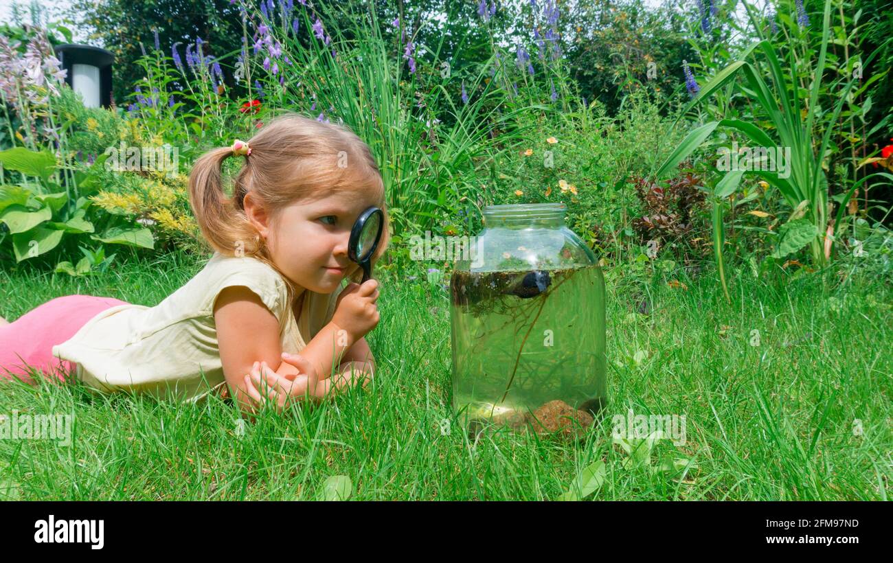 Naturalist activities hi-res stock photography and images - Alamy