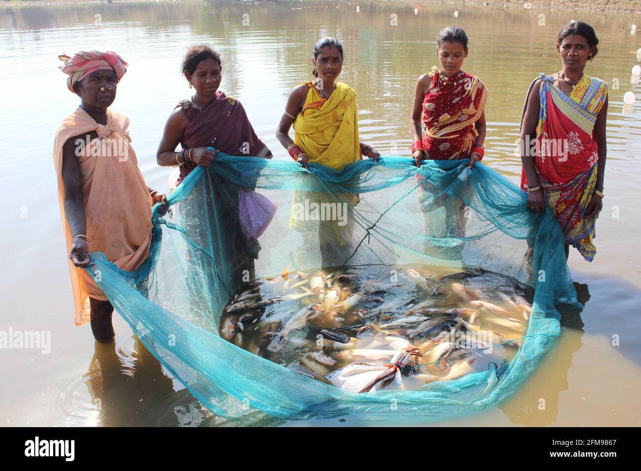 Farmer harvesting harvesting catch hi-res stock photography and images ...