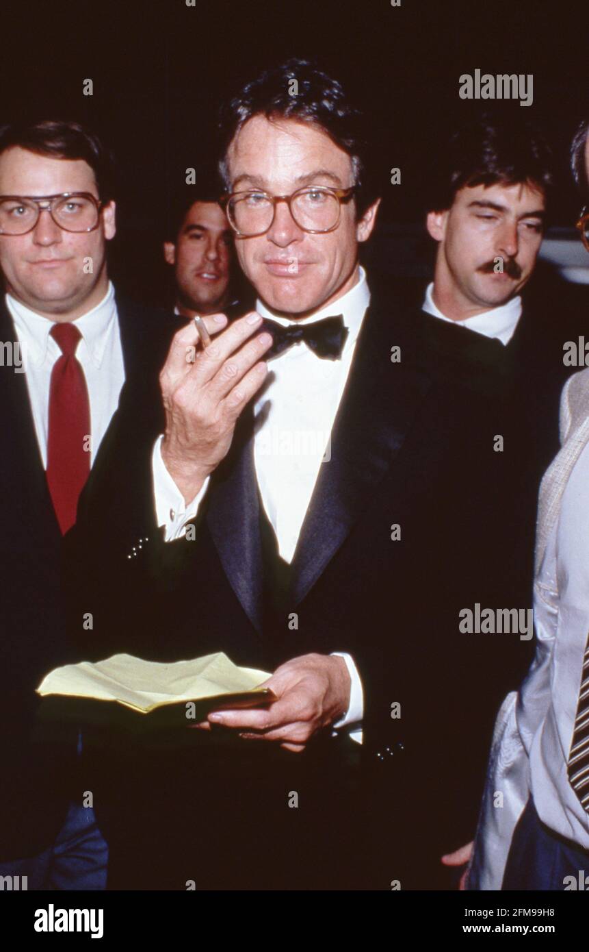 Warren Beatty Circa 1980's Credit: Ralph Dominguez/MediaPunch Stock ...