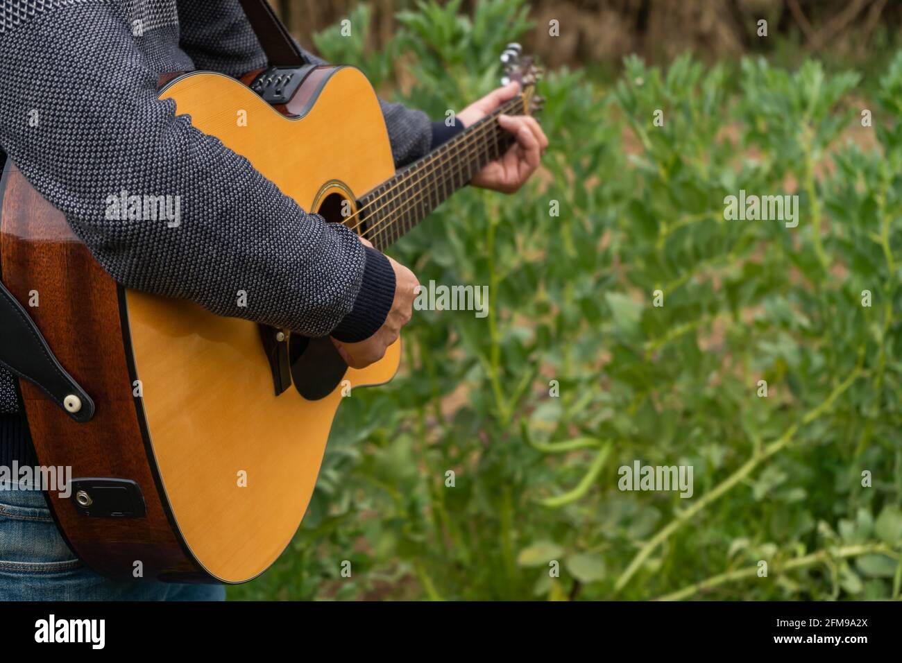 Guy playing guitar in nature hi-res stock photography and images - Alamy