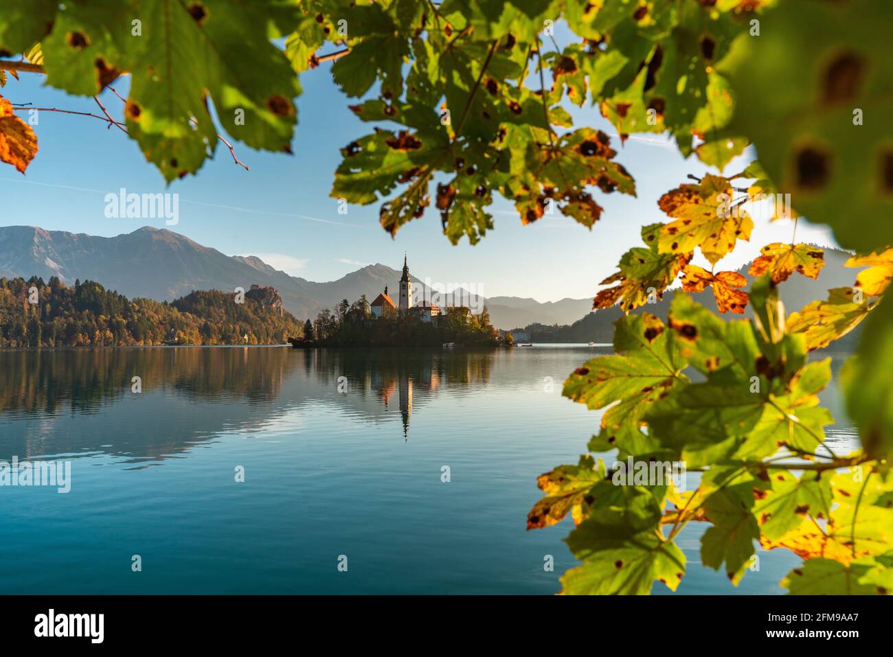 The famous Alpine Lake Bled (Blejsko jezero) in Slovenia, an amazing ...