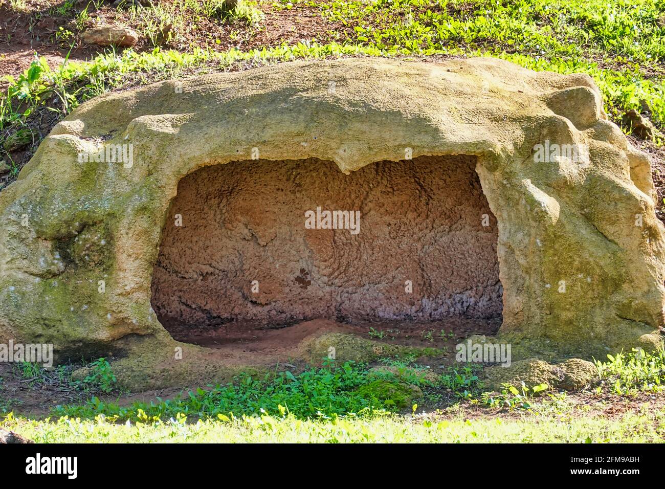 Shot of an animal cave in zoo Stock Photo - Alamy
