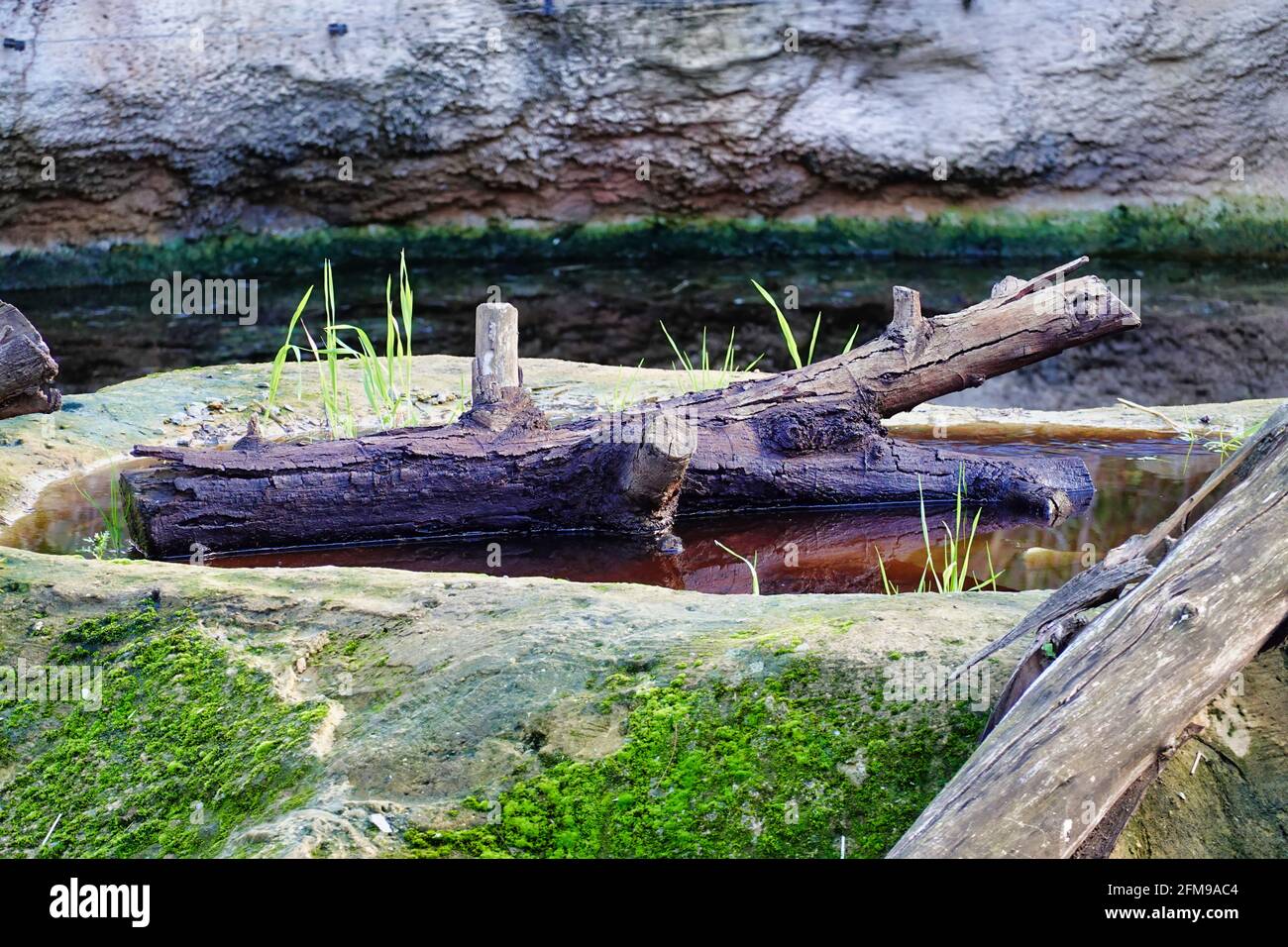 Shot of an animal place in zoo Stock Photo - Alamy