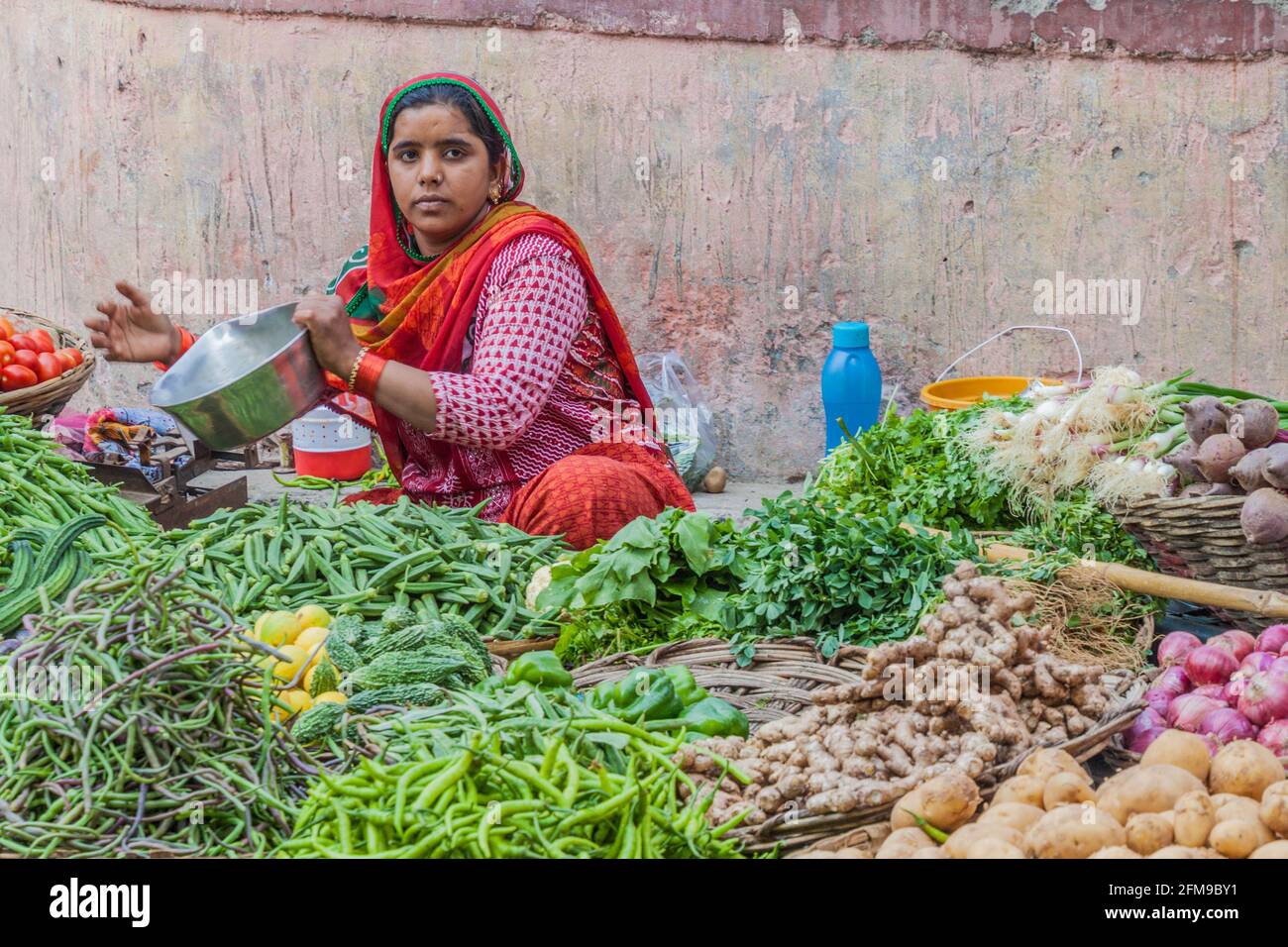 India rajasthan farmer hi-res stock photography and images - Alamy