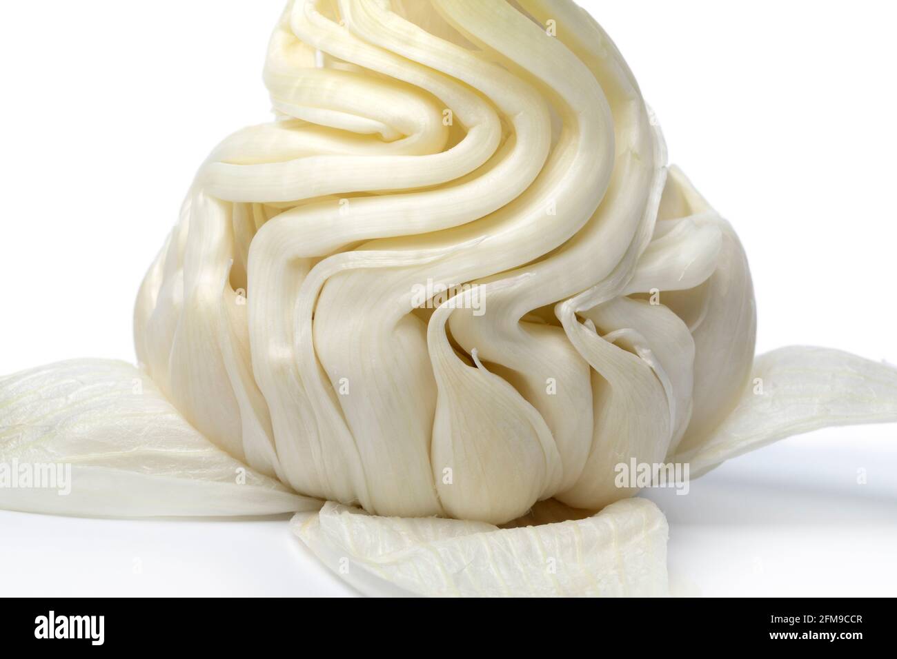 Structure of the inside of a fresh raw whole garlic bulb close up on ...