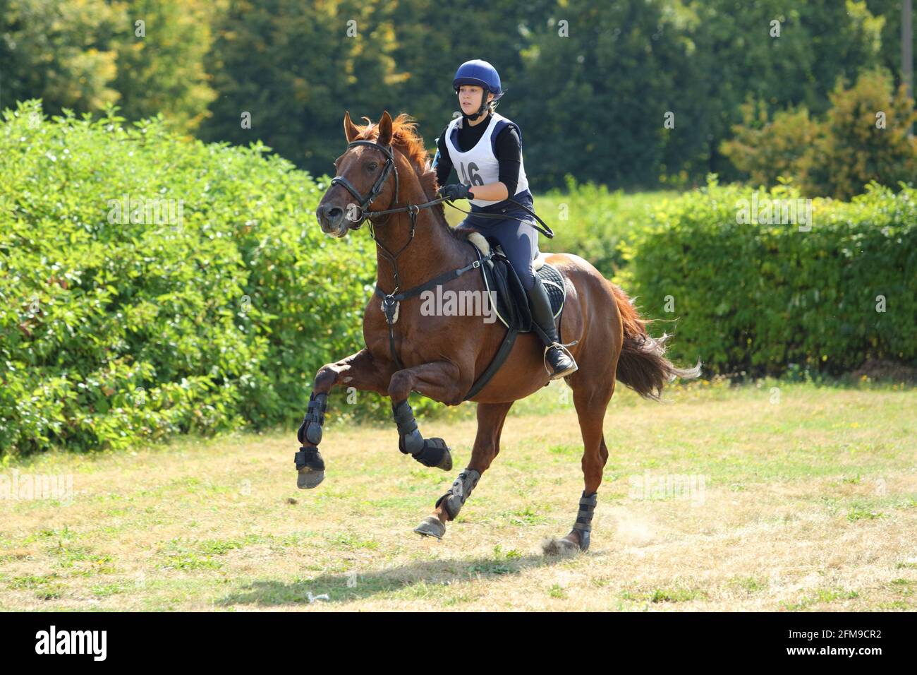 Competition winner woman hi-res stock photography and images - Alamy