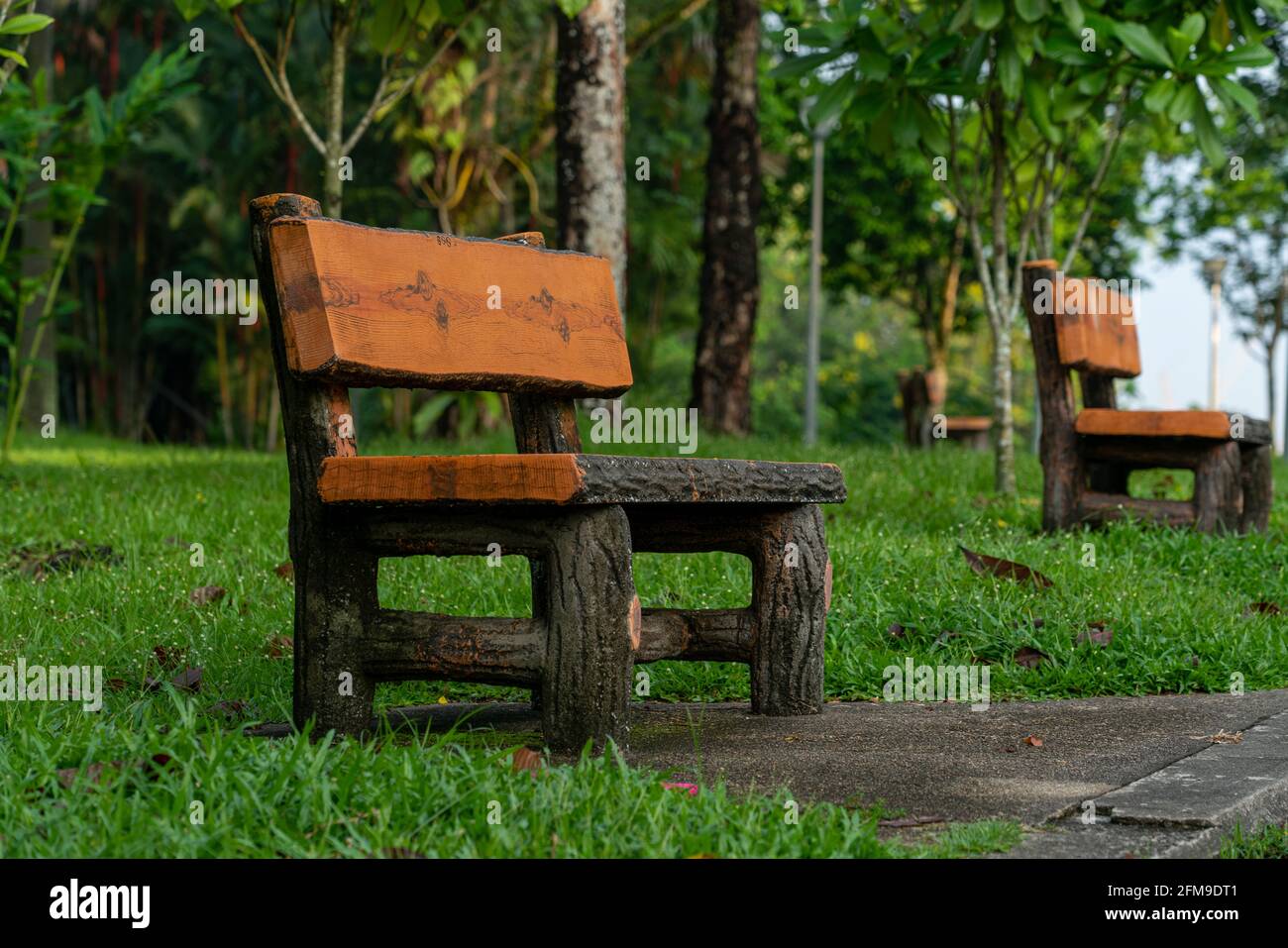 Landscape nature empty park bench Stock Photo - Alamy