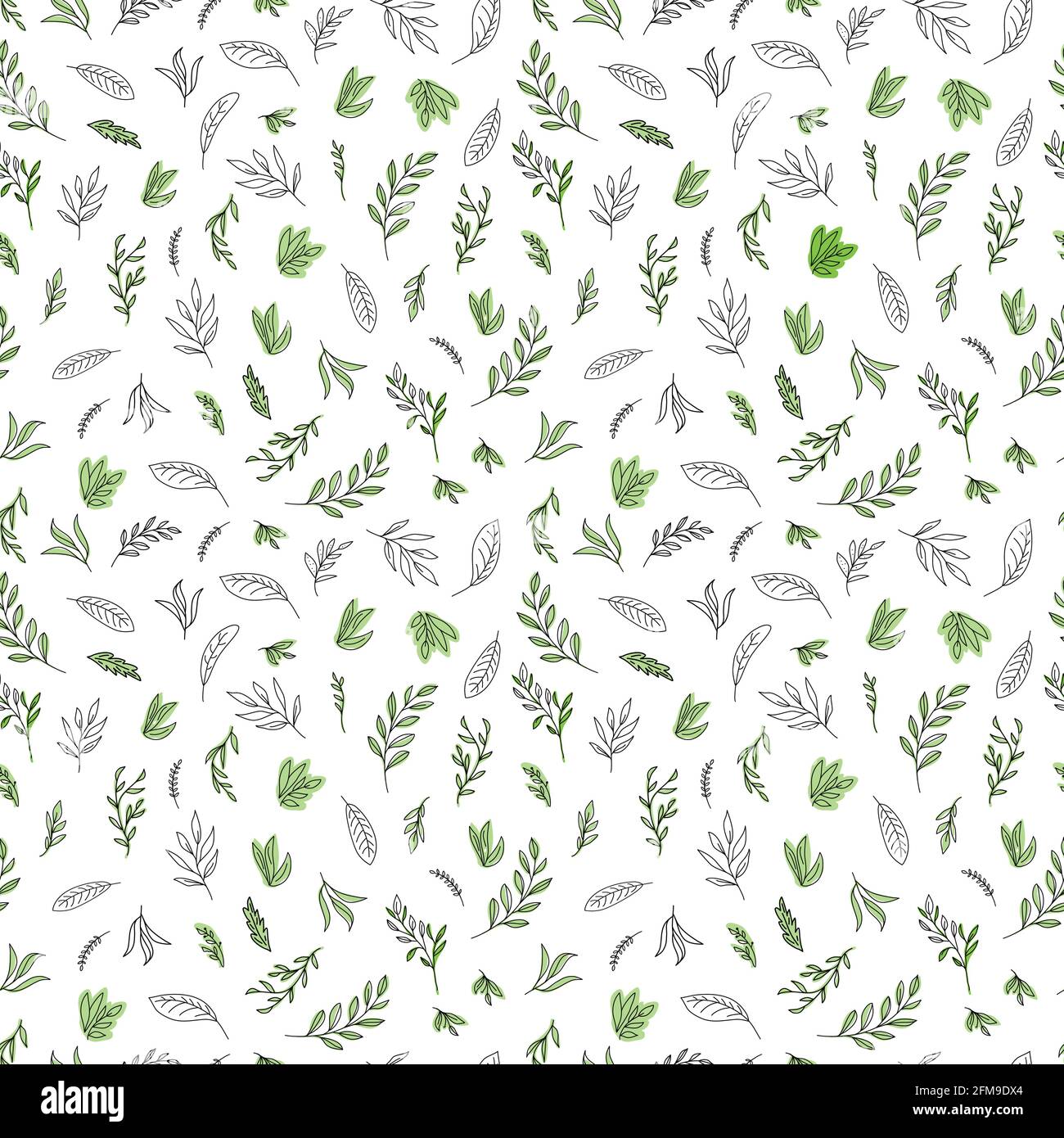 Simple hand-painted line art vector illustration with leaves. The ...
