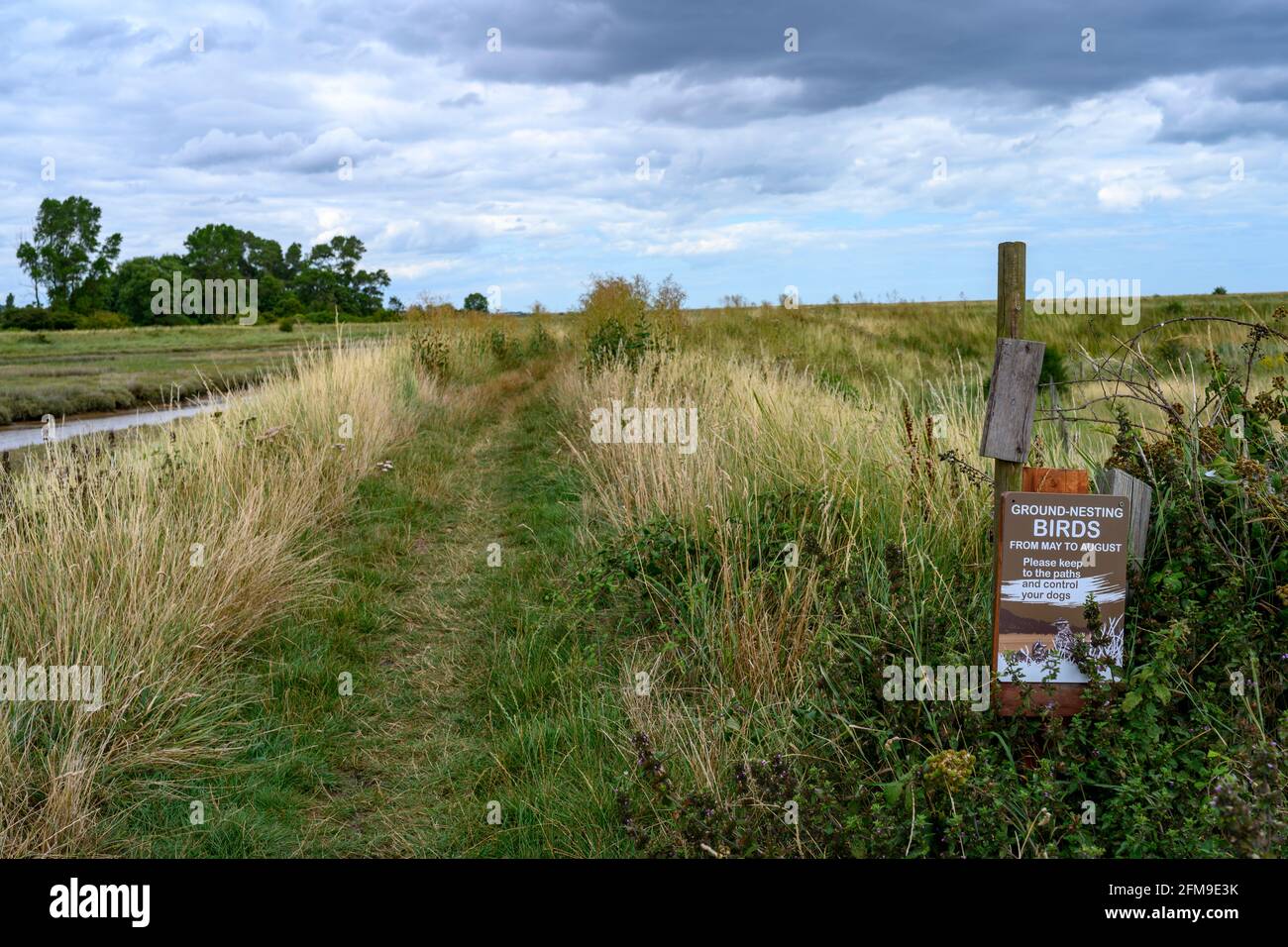 Ground nesting birds hi-res stock photography and images - Alamy