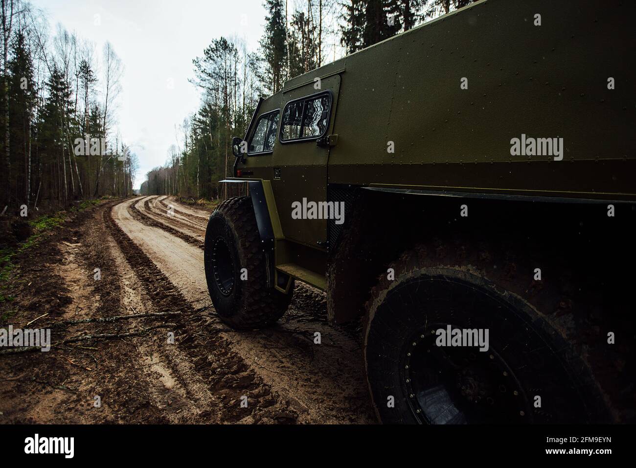a four-wheel drive all-terrain vehicle drives through the forest ...