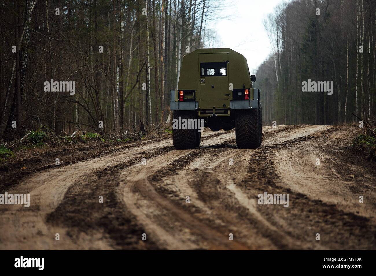 a four-wheel drive all-terrain vehicle drives through the forest ...