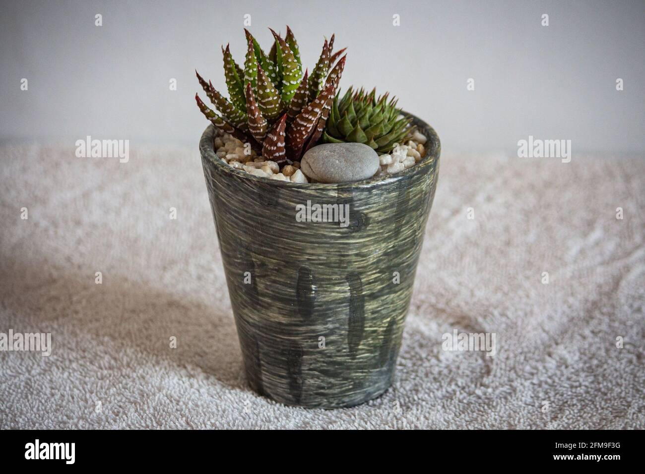 Terracotta pots with roses hi-res stock photography and images - Alamy