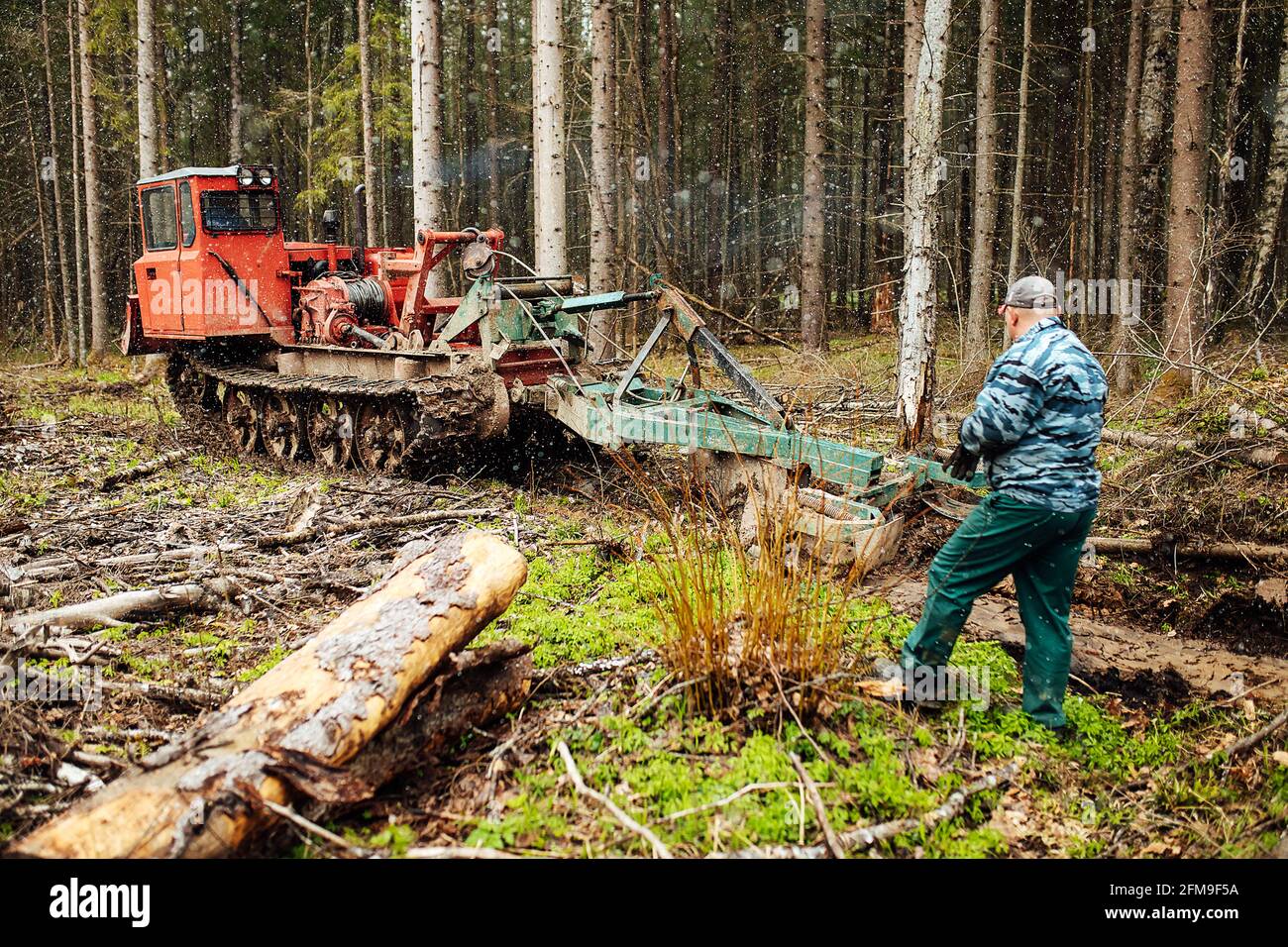 a crawler tractor is driving through a forest clearing. an industrial ...