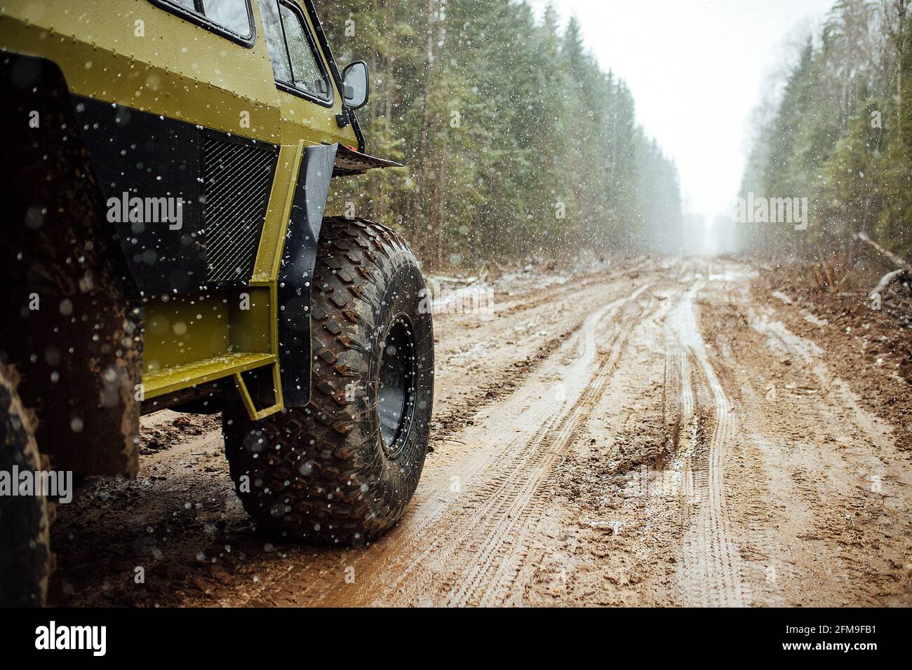 a four-wheel drive all-terrain vehicle drives through the forest ...