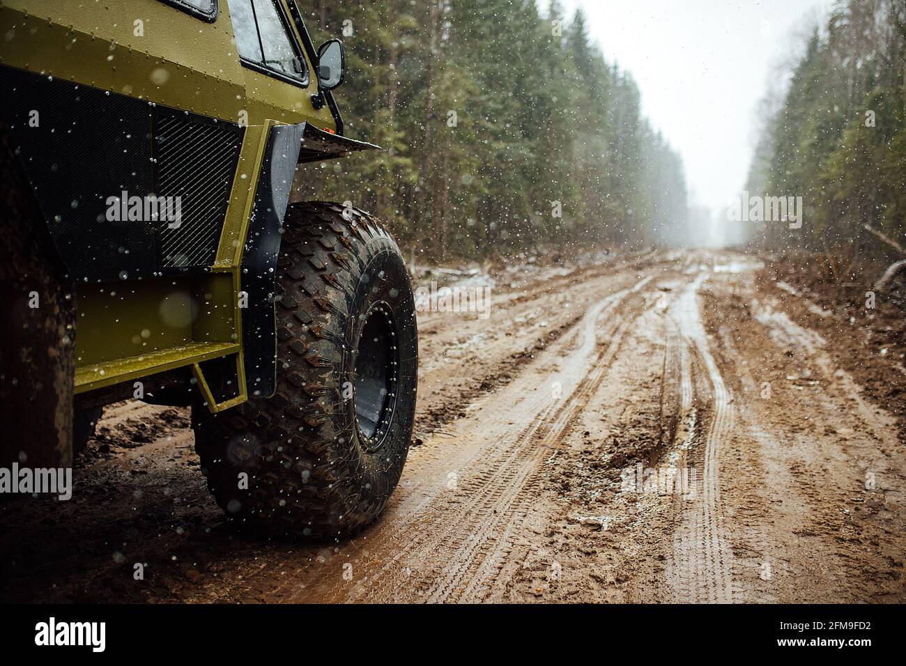 a four-wheel drive all-terrain vehicle drives through the forest ...