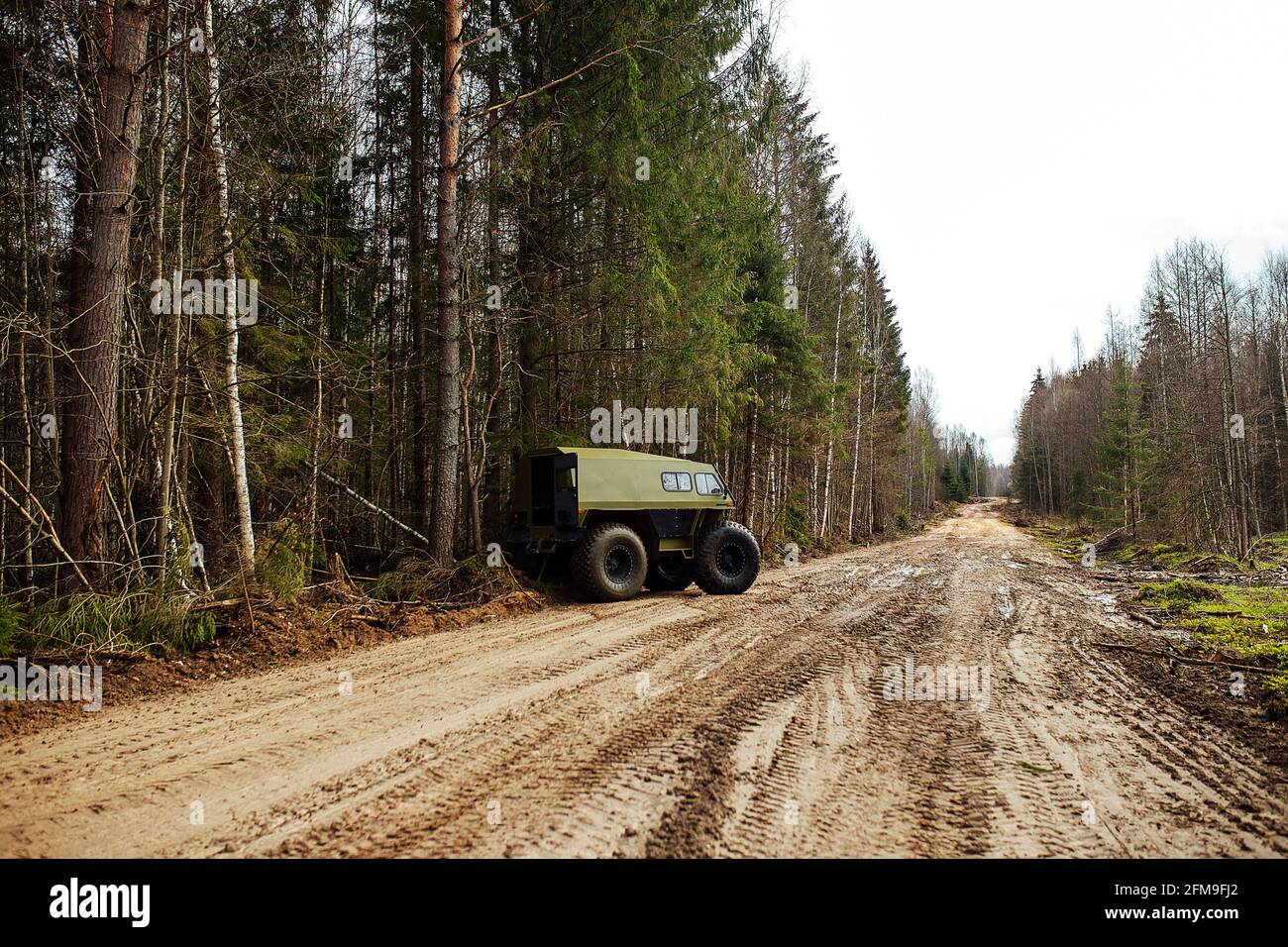 a four-wheel drive all-terrain vehicle drives through the forest ...