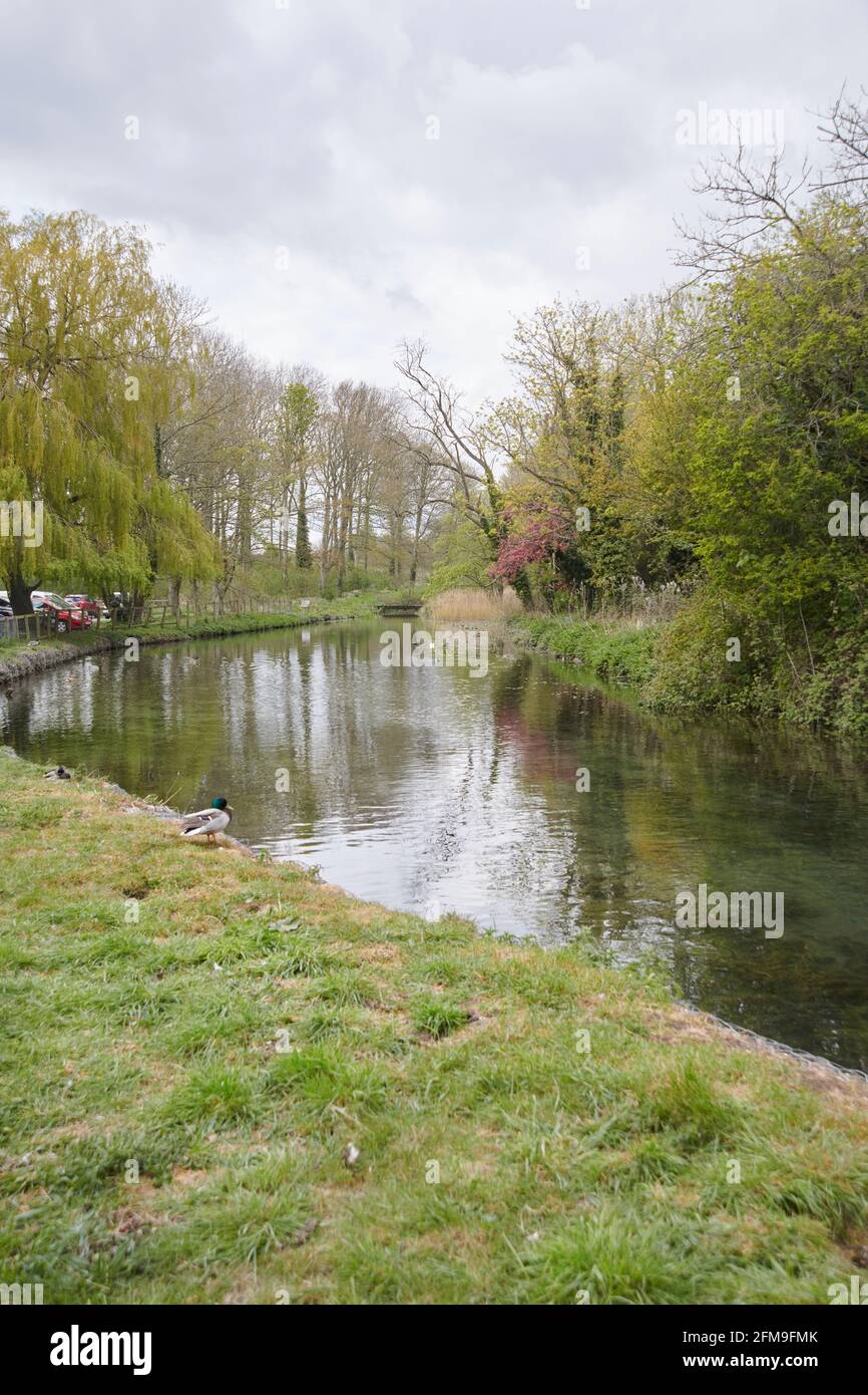 Fishing trout uk hi-res stock photography and images - Alamy