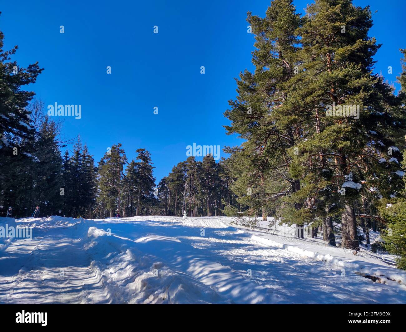 Winter view of Byala Cherkva region at Rhodopes Mountain, Plovdiv ...