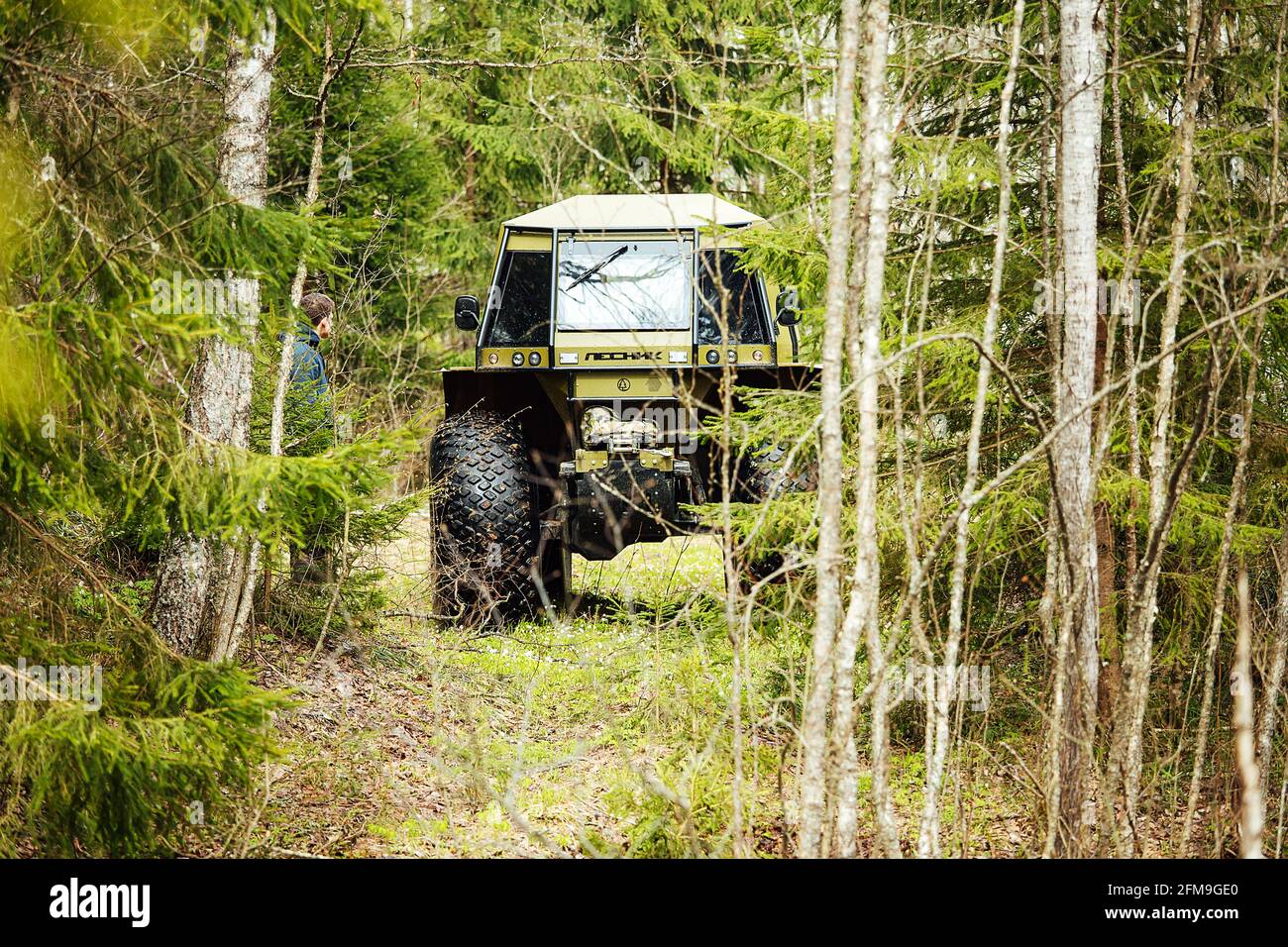 a four-wheel drive all-terrain vehicle drives through the forest ...